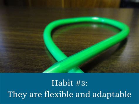 Copia De 7 Habits Of Highly Resilient Women By Dra