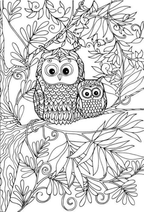 45 desenhos de CORUJA para colorir e imprimir grátis