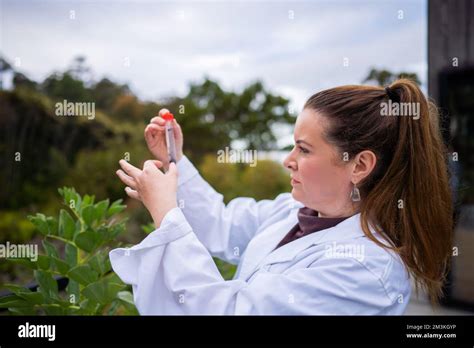 Australian Agriculture Research Hi Res Stock Photography And Images Alamy