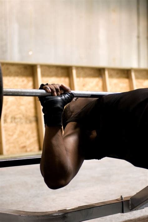 Free Picture Man Image Gymnasium Various Strength Training