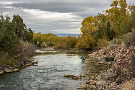Ruby River Glacier To Yellowstone