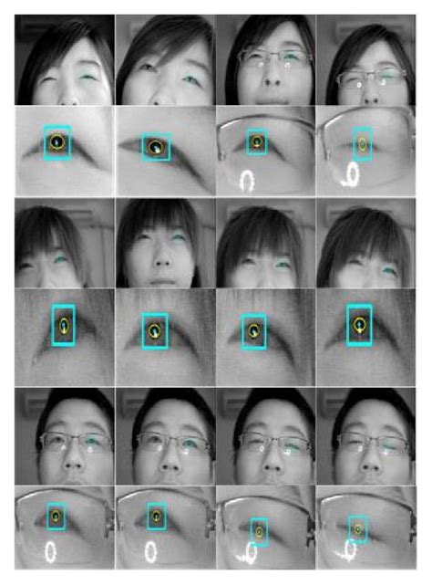 Tracking Results Under Blinking Download Scientific Diagram