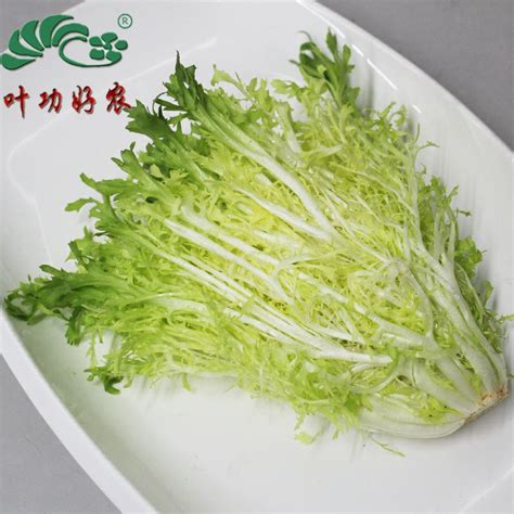 黄心苦菊新鲜蔬菜苦苣黄心苦叶生菜狗牙沙拉菜西餐配料 500g 虎窝淘