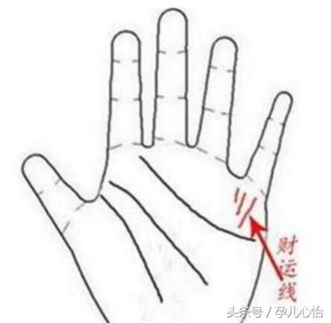 男人「此紋」在手，必是人中之龍，早年嘗遍苦楚，中年之後大爆發 每日頭條