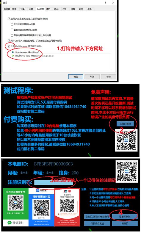 鱼儿编程 正向反向跟单软件