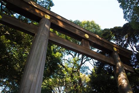 神社の正しい参拝お参りの仕方や作法！時間帯やお賽銭の金額はいくら！？ Rose Erie