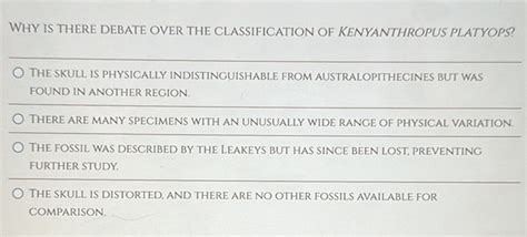 Why Is There Debate Over The Classification Of Kenyanthropus Platyops