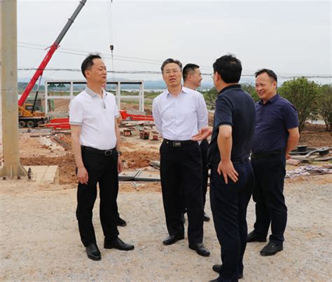 水利部调研组来我市调研水利工程建设工作 临湘市政府网