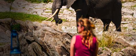 Tanzania Migration And Great Rift Hike Fitzroy Travel