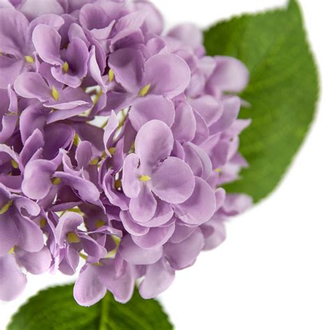 Small Head Hydrangea Pastel Lilac Eleganzafloral
