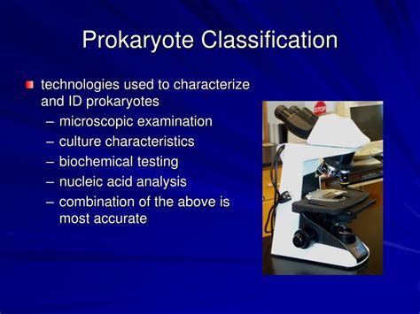 Ppt Prokaryotic And Eukaryotic Classification And Identification Powerpoint Presentation Id 394352