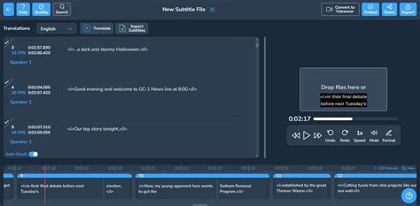 Understanding Subtitle Translation From Novice To Expert