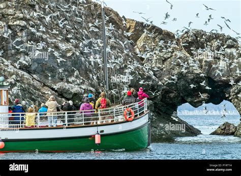The Danny J Ferry Approaches Gull Island Rookery With Wildlife Viewers