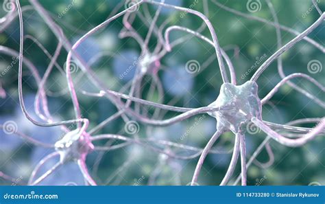 Neuron Neural Network Nerve Node Stock Photo Image Of Science Neuron