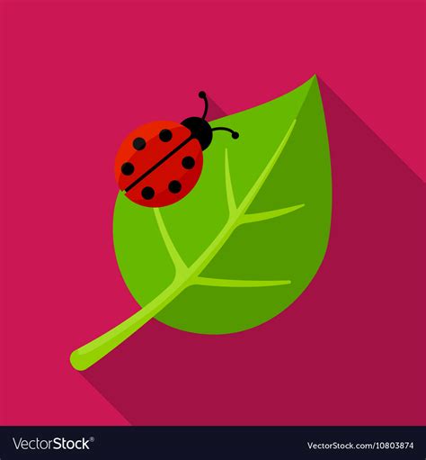 Ladybug On Leaf Icon Royalty Free Vector Image