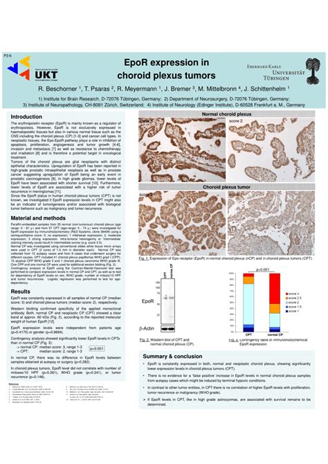 Pdf Poster Dgnn 2009 Epor Expression In Choroid Plexus Tumors