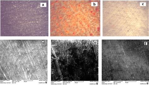 Optical Microscopy OM And SEM Of Mild Steel Specimens In