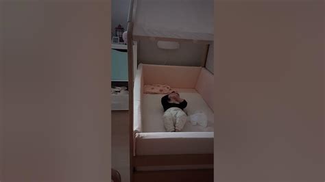 혼자서 뭐하나 봤더니 ㅋ 나홀로 꼬물꼬물 심쿵 Youtube