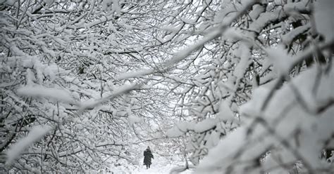 საქართველოში თოვა გრძელდება ამინდის პროგნოზი