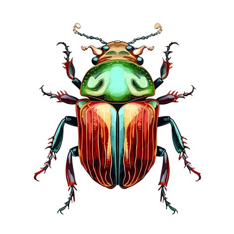 Premium Vector Hand Drawn Flat Color Phylum Illustration