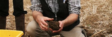 Soil Analysis And Management Agricology