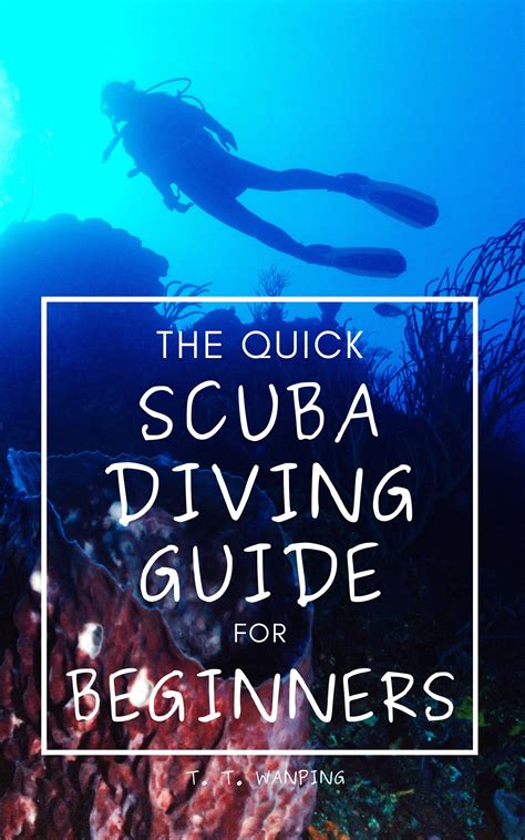 Scuba Diving Basics For Beginners At Cari Kirby Blog
