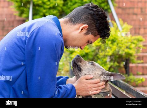 Are Dog Kisses Dangerous