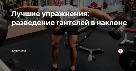 Лучшие упражнения разведение гантелей в наклоне Myfitness Дзен