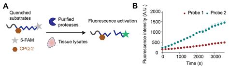 Crispr Cas Mediated Multianalyte Synthetic Urine Biomarker Test For Portable Diagnostics