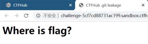 CTFHUBWeb技能树信息泄露writeup ctfhub web writeup CSDN博客