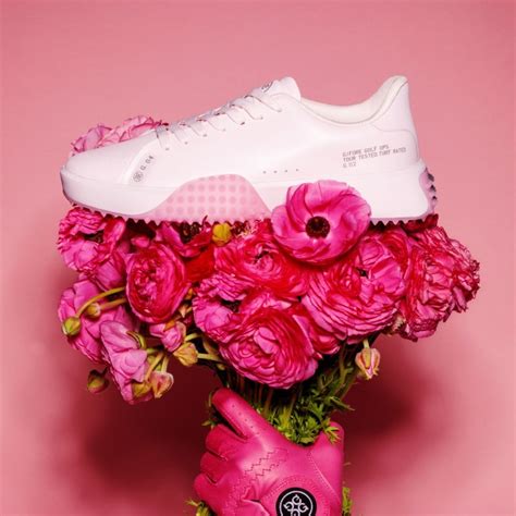 지포어 프리미엄 골프웨어 And 액세서리