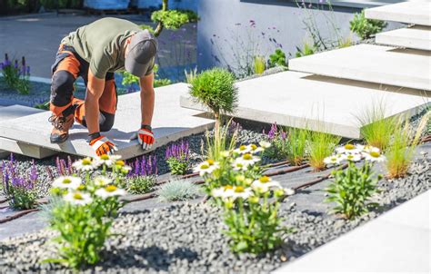 Best Guide To A Diy Backyard Concrete Pathway Project
