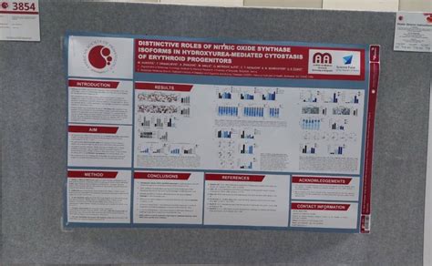 Group For Molecular Oncology Institute For Medical Research On Linkedin Work Of The Group For