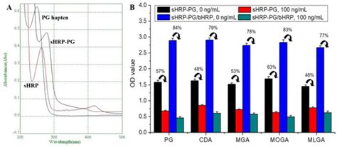 Foods Free Full Text Development Of A Magnetic Molecularly