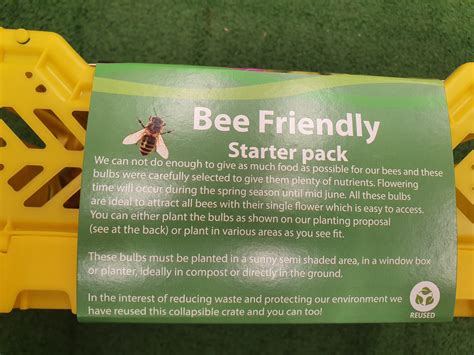 Bee Friendly Starter Pack Beechmount Garden Centre