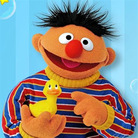 Sesame Street Muppets Sesame Street Characters Cartoon Characters