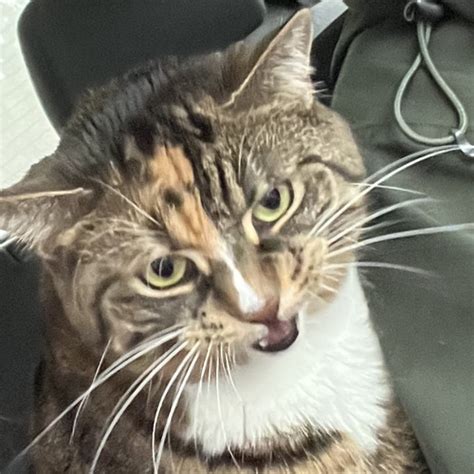 Stream Jule Lukan Music Listen To Songs Albums Playlists For Free On Soundcloud