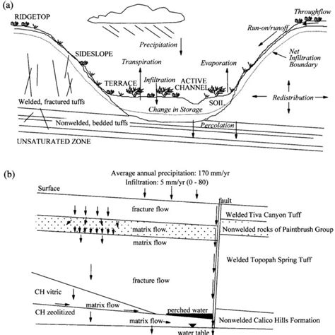 Schematics Of A Surface Infiltration Processes And B Percolation