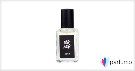 Yog Nog By Lush Cosmetics To Go Perfume Reviews And Perfume Facts