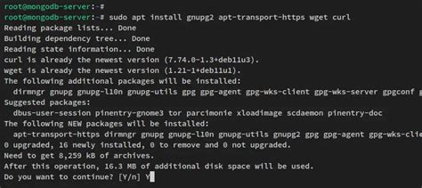 How To Install And Use Mongodb On Debian Vitux