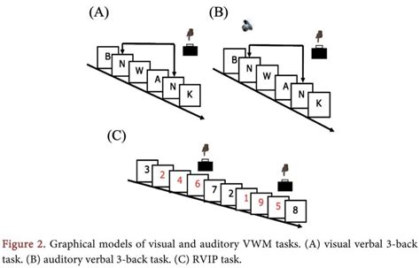 Wendy Wang On Linkedin Workingmemory Dlpfc Tdcs Adhd