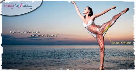 Flexibility Vs Pliability Easyflexibility