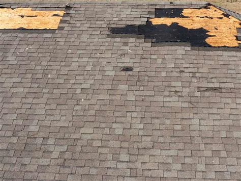 Avoid These 4 Common Asphalt Shingle Maintenance Mistakes