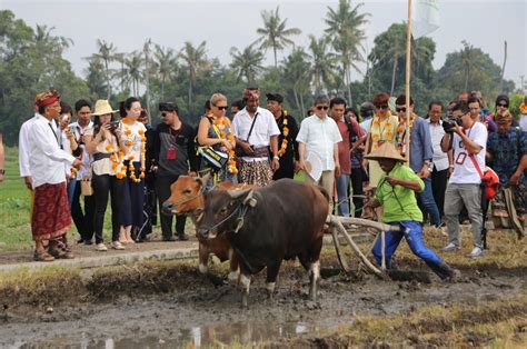 Ekonomi Kreatif Angkat Potensi Pariwisata Bali Ekbis