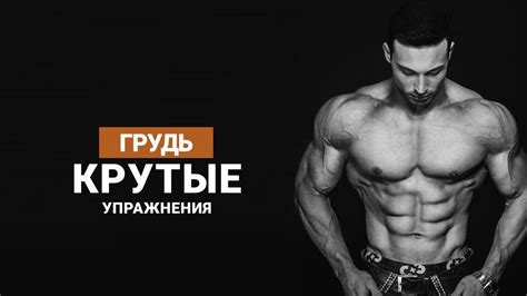 Упражнения на грудь с гантелями и штангой