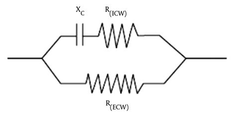 Arranging R And Capacitance In Series And Parallel Download Scientific Diagram