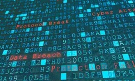Sentinelone And Automox Vulnerability Management Cyber Resilience