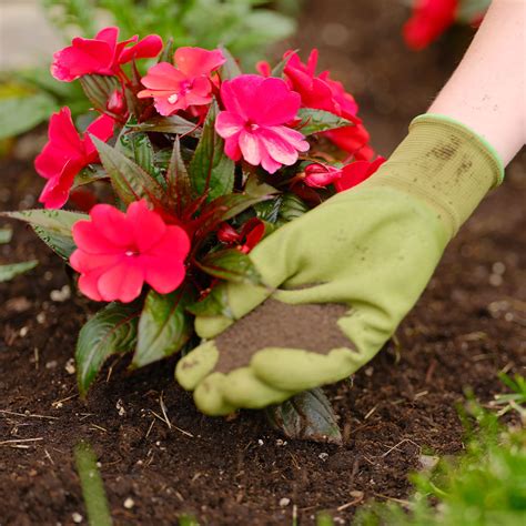 Pro Mix Organic Garden Fertilizer Multi Purpose 7 3 3