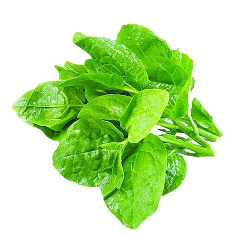 পুঁই শাক ১ আটি Pui Spinach 1 Bundle