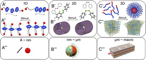Redefining Polymer Science Via Multi Stimulus Responsiveness Chem